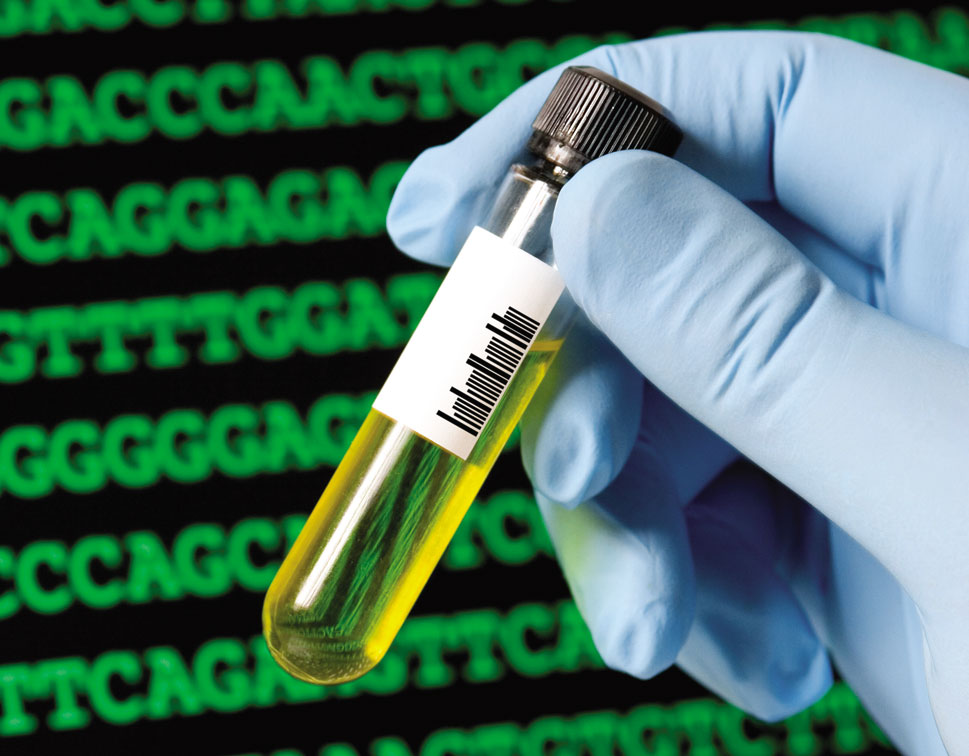 My CO2 Laboratory - Food Safety - Category: Food Safety - Image: Swab ...